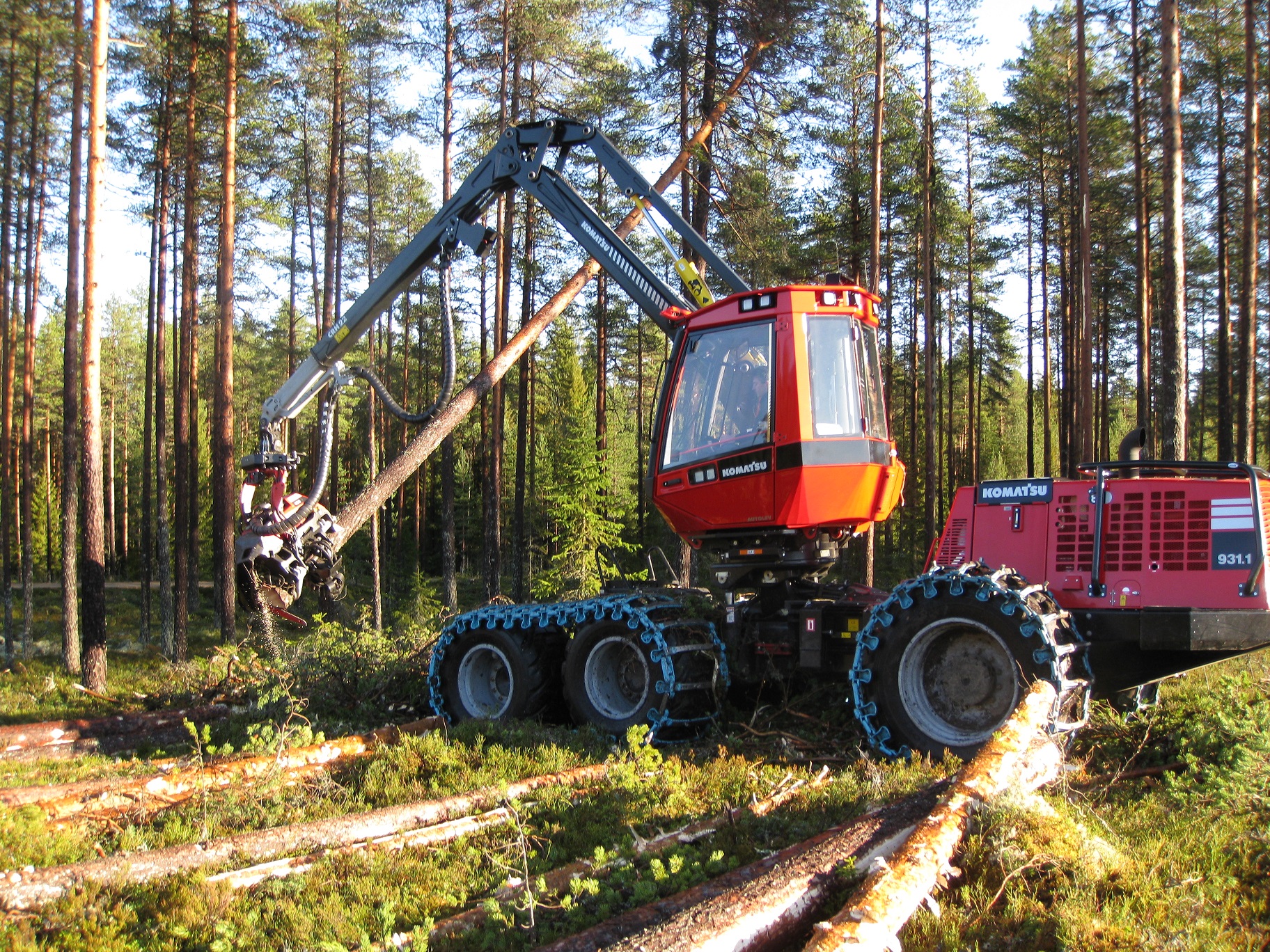 Skogsbruk – Lima Besparingsskog